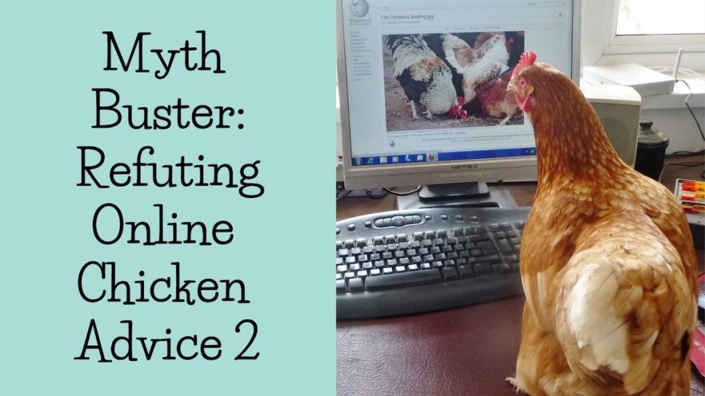 Myth Buster: Refuting Online Chicken Advice 2 – Bitchin' Chickens