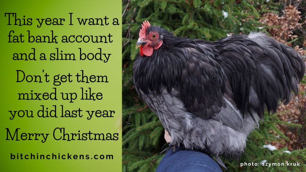 Bitchin’ Chickens Memes: 35 – Bitchin' Chickens