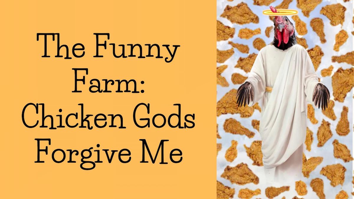 The Funny Farm: Chicken Gods Forgive Me – Bitchin' Chickens