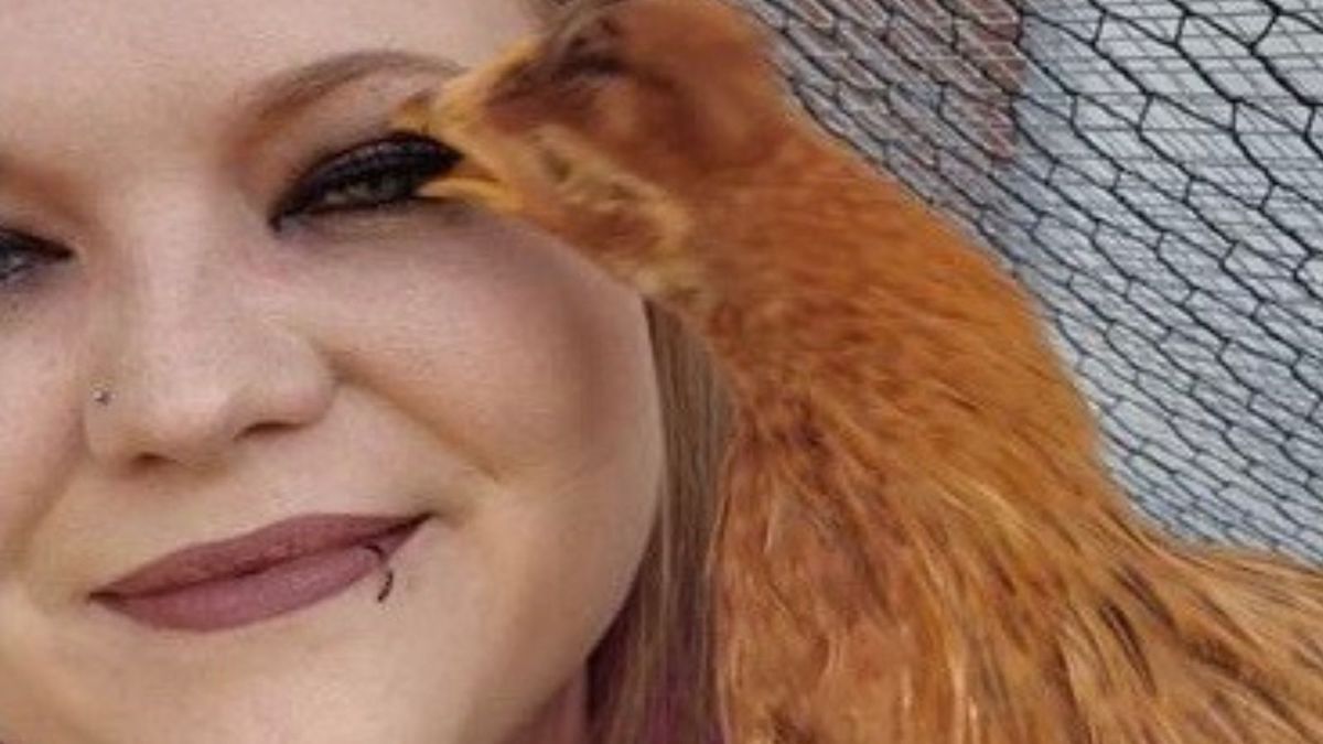 The Funny Farm: If Your Chickens Don’t Kill You, They’ll Make You ...