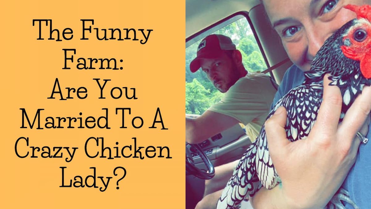 The Funny Farm: Are You Married To A Crazy Chicken Lady? – Bitchin ...