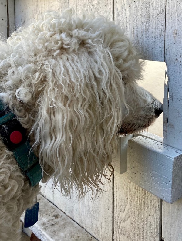 Playhouse Fortress Chicken Coop Conversion – Bitchin' Chickens