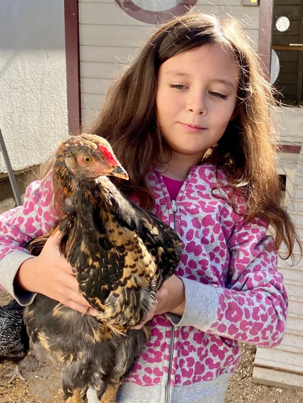 Playhouse Fortress Chicken Coop Conversion – Bitchin' Chickens