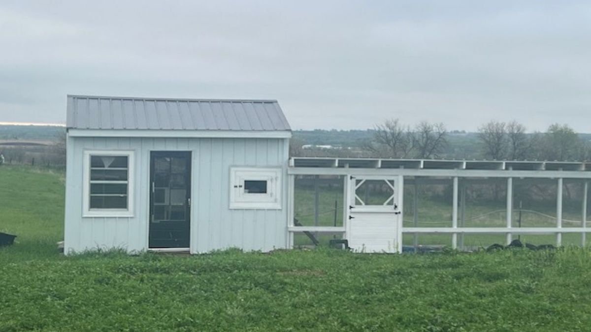 Pallet Chicken Coop – Bitchin' Chickens