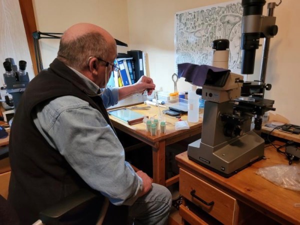 Fecal Float Testing: On The Hunt For Chicken Parasites 2 – Bitchin ...