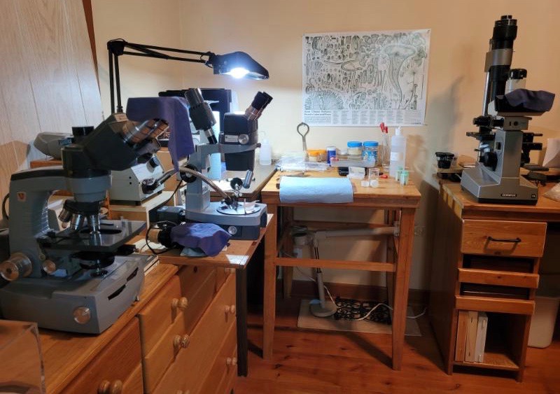 Fecal Float Testing: On The Hunt For Chicken Parasites 2 – Bitchin ...