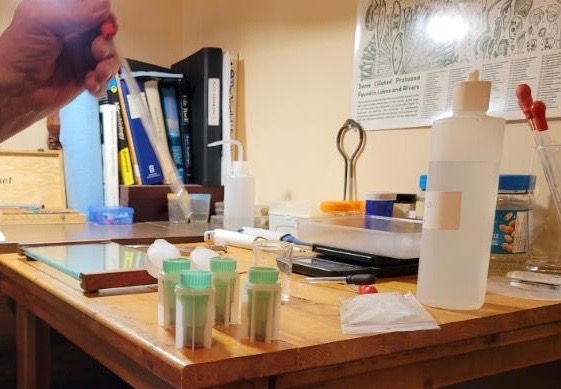 Fecal Float Testing: On The Hunt For Chicken Parasites 2 – Bitchin ...