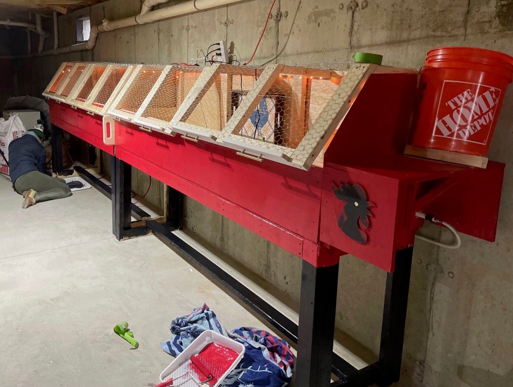 Easy Clean Chick Brooder – Bitchin' Chickens