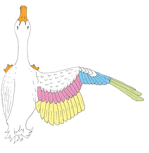Chicken Wing Clipping: When & How To Do It – Bitchin' Chickens