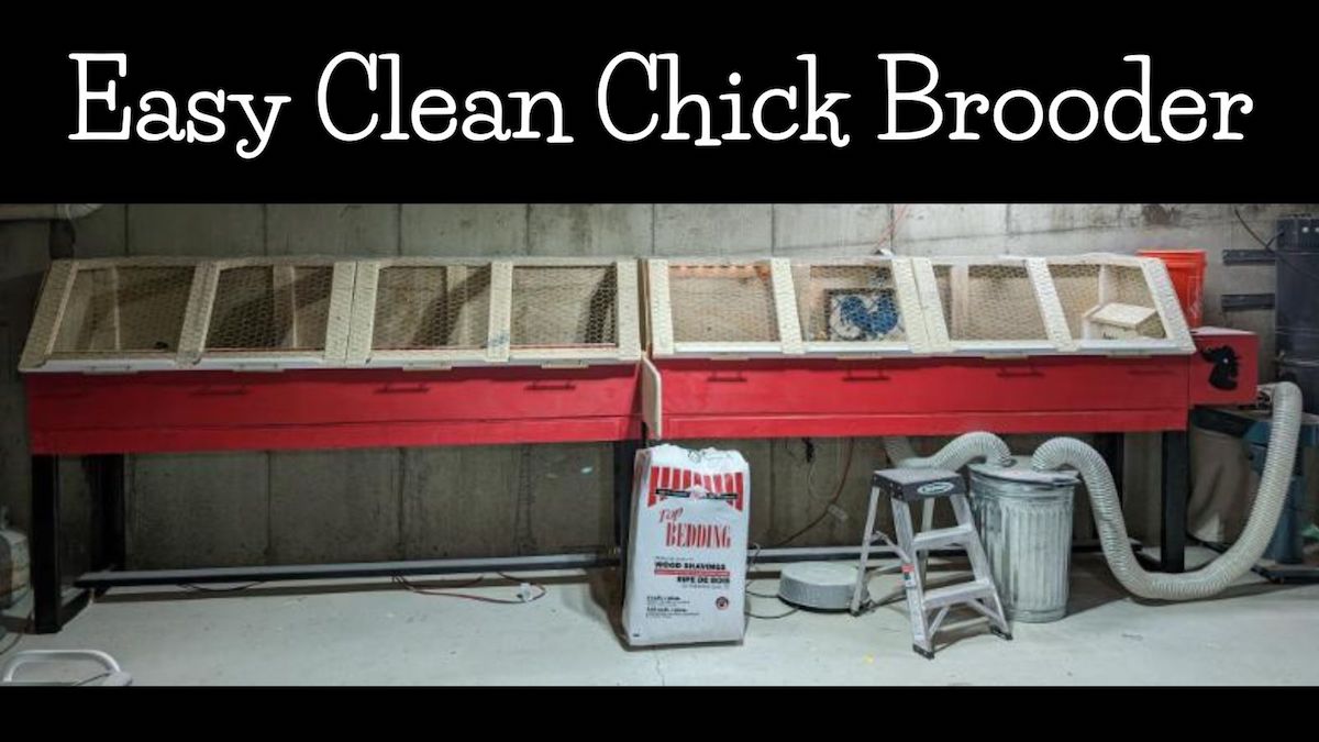Easy Chick Brooder Plans The Project Lady DIY Easy & Inexpensive