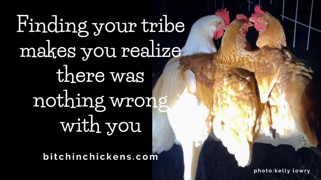 Bitchin’ Chicken Memes: 40 – Bitchin' Chickens