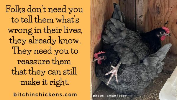 Bitchin’ Chicken Memes: 40 – Bitchin' Chickens