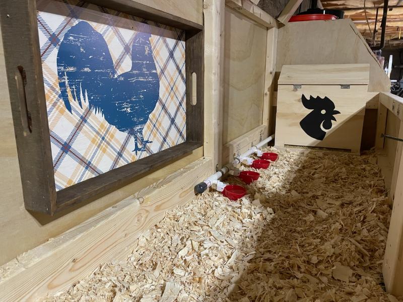 Easy Clean Chick Brooder – Bitchin' Chickens