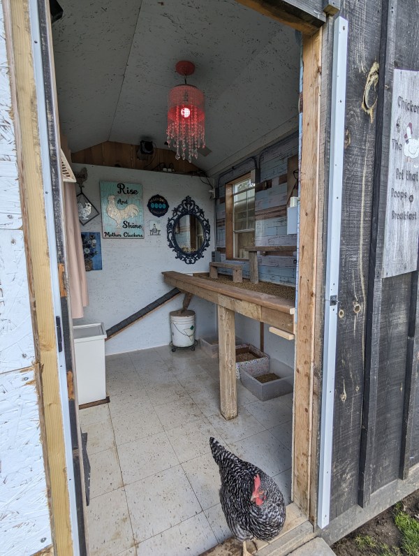 Multipurpose Chicken Coop & Run – Bitchin' Chickens