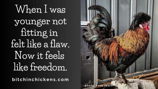 Bitchin’ Chicken Memes: 40 – Bitchin' Chickens
