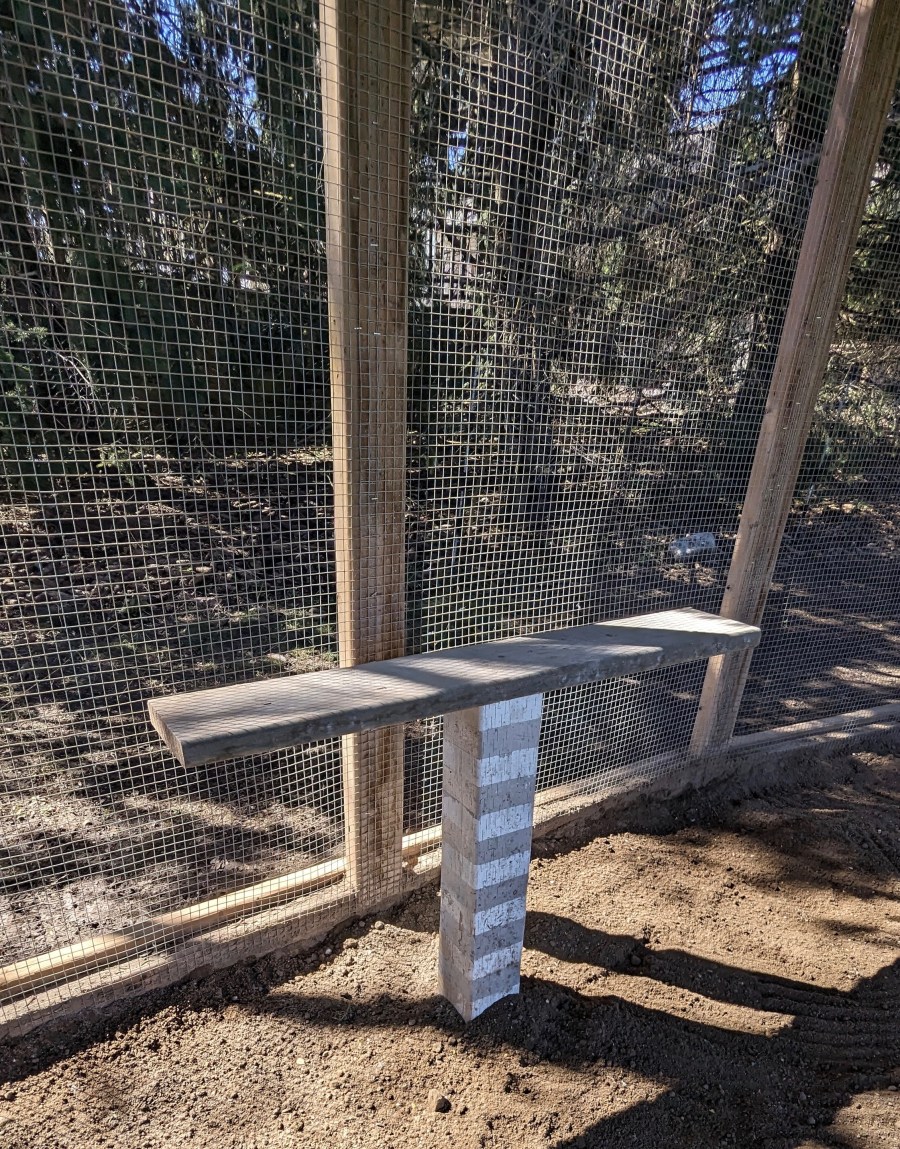 Multipurpose Chicken Coop & Run – Bitchin' Chickens