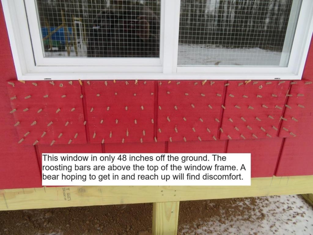 Coop Design To Protect From Predators & The Elements – Bitchin' Chickens