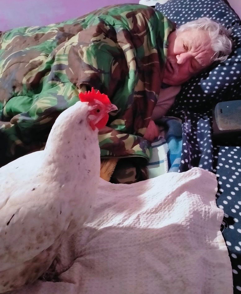 Modern Family (With Chickens) 2 – Bitchin' Chickens