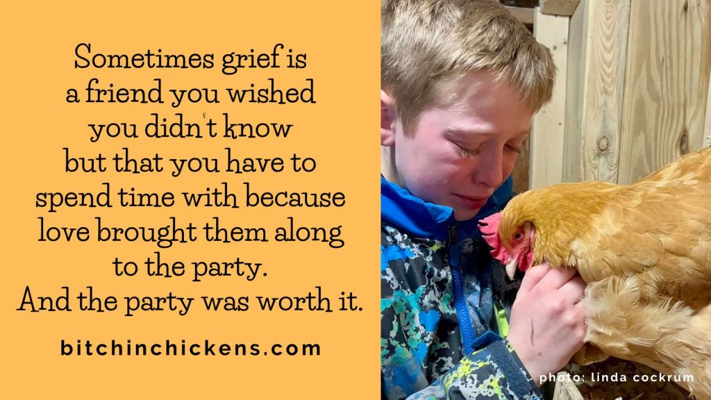 Bitchin’ Chickens Memes: 42 Grief & Loss – Bitchin' Chickens
