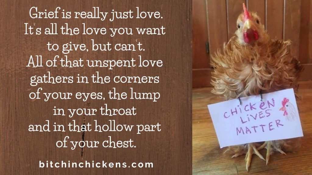 Bitchin’ Chickens Memes: 42 Grief & Loss – Bitchin' Chickens
