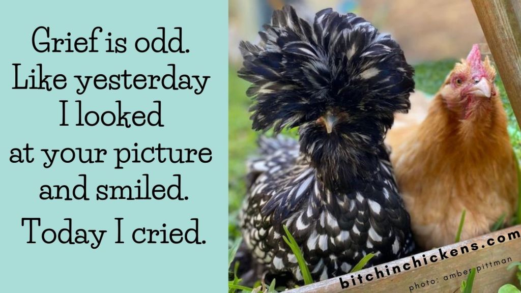 Bitchin’ Chickens Memes: 42 Grief & Loss – Bitchin' Chickens