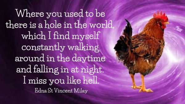 Bitchin’ Chickens Memes: 42 Grief & Loss – Bitchin' Chickens