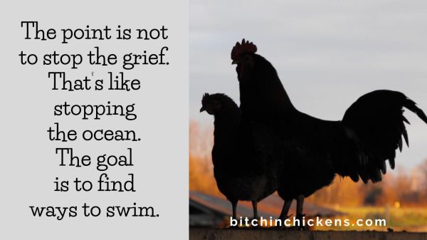 Bitchin’ Chickens Memes: 42 Grief & Loss – Bitchin' Chickens