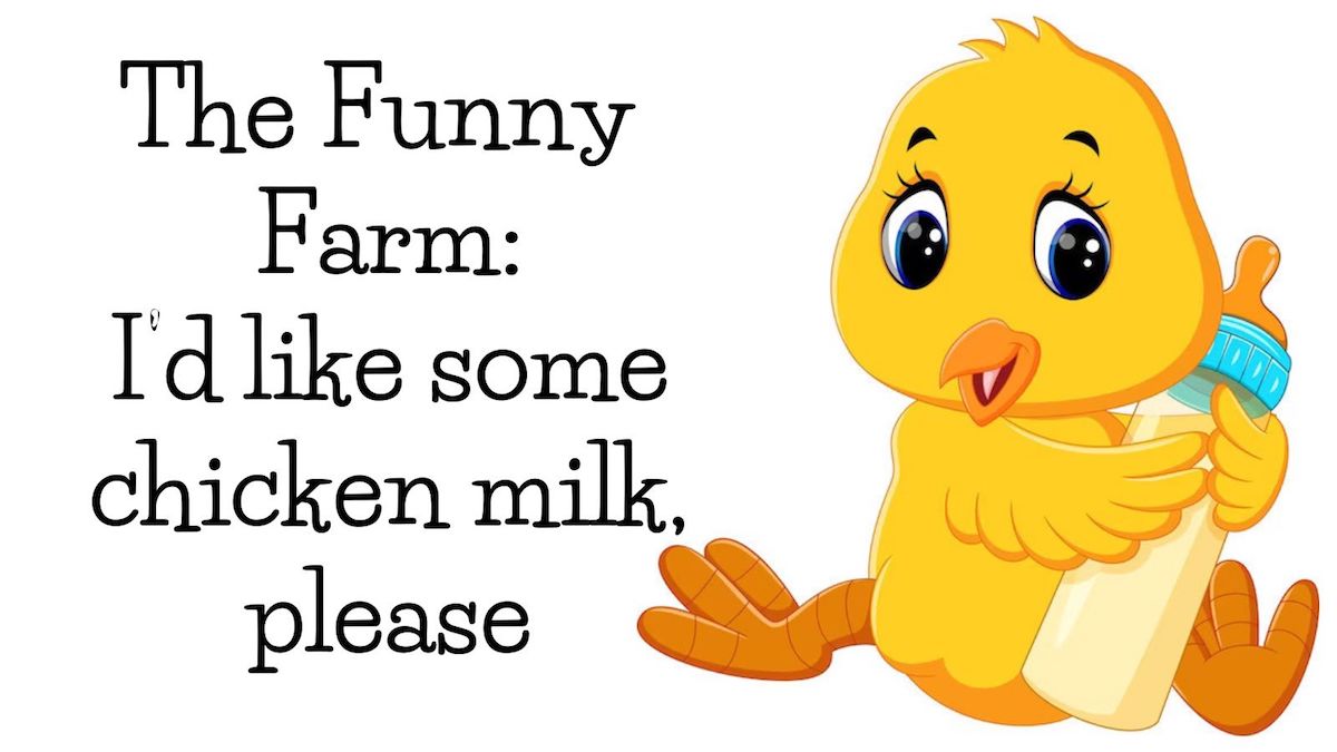 The Funny Farm: I’d Like Some Chicken Milk, Please – Bitchin' Chickens
