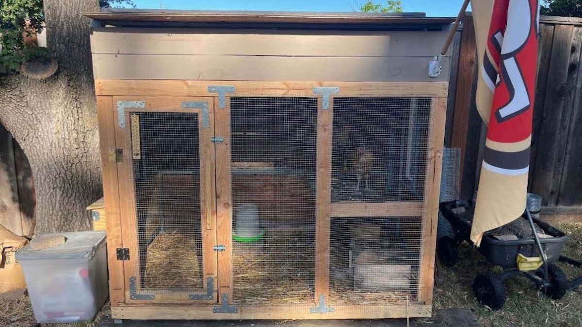 Upcycled Chicken Coop Builds – Bitchin' Chickens