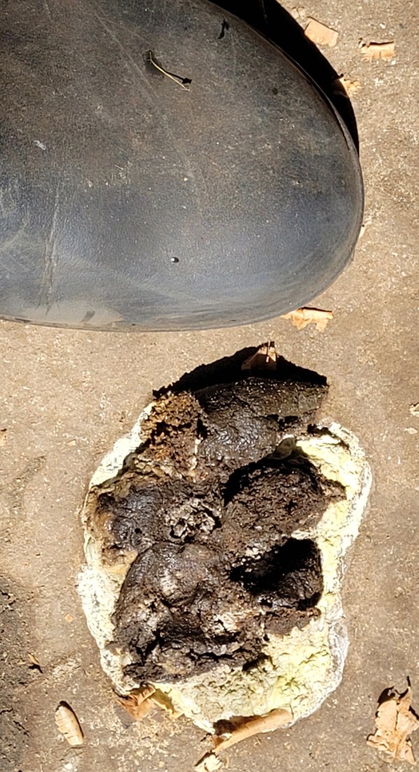 Bitchin’ Chickens Broody Hen: One Spot – Bitchin' Chickens