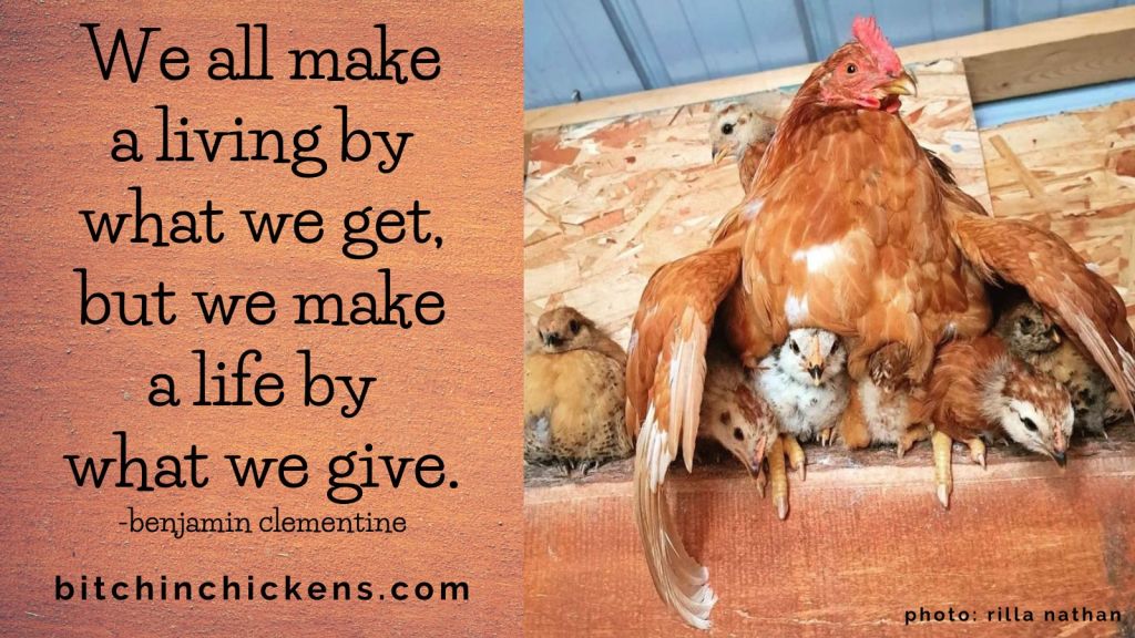 Bitchin’ Chickens Memes: 45 – Bitchin' Chickens