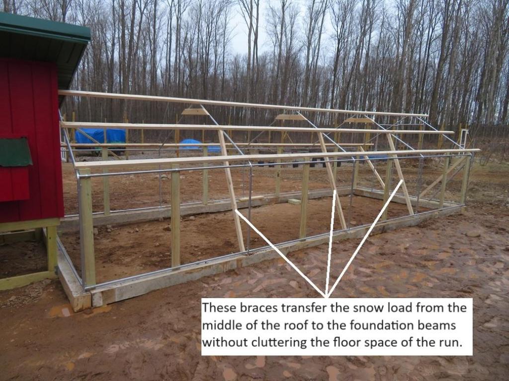 Predator Proof Chicken Run – Bitchin' Chickens