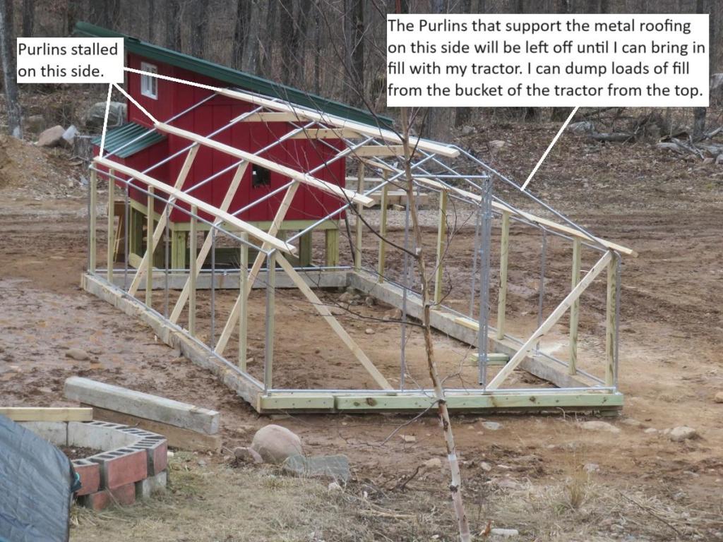 Predator Proof Chicken Run – Bitchin' Chickens