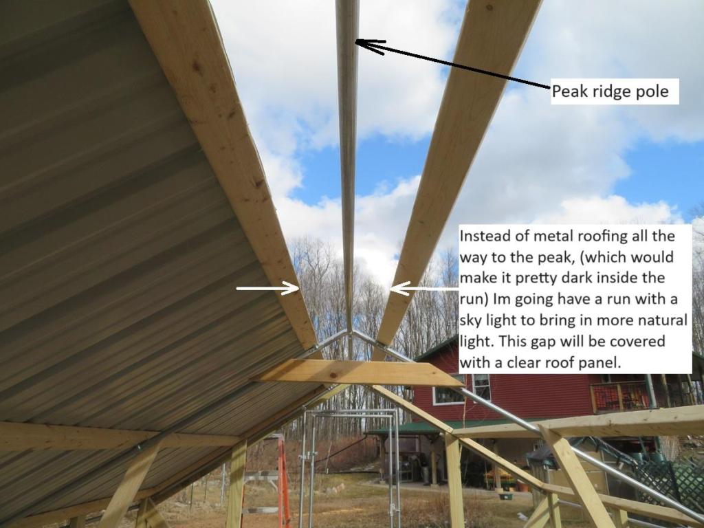 Predator Proof Chicken Run – Bitchin' Chickens