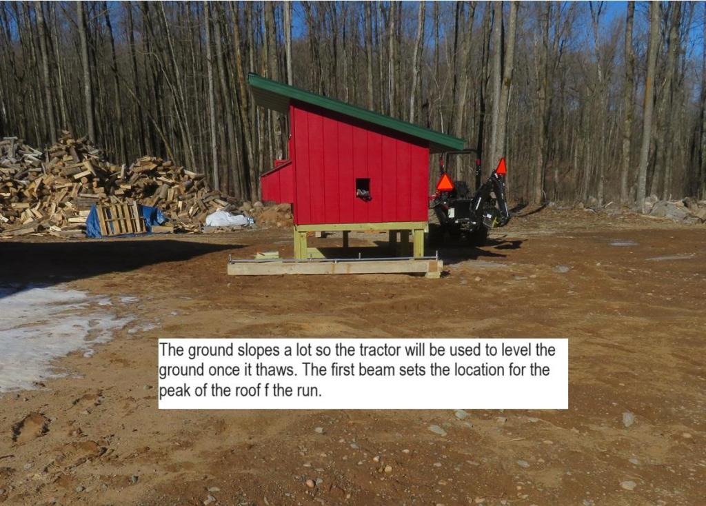 Predator Proof Chicken Run – Bitchin' Chickens