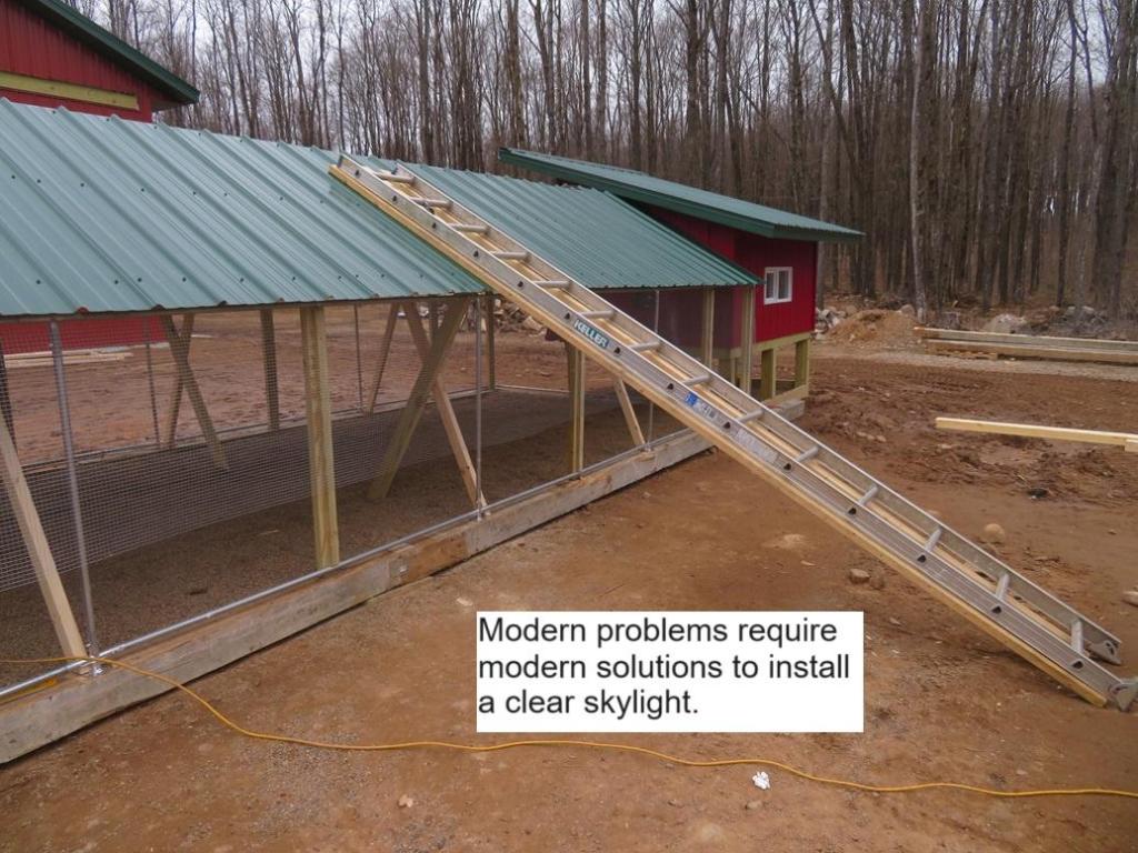 Predator Proof Chicken Run – Bitchin' Chickens