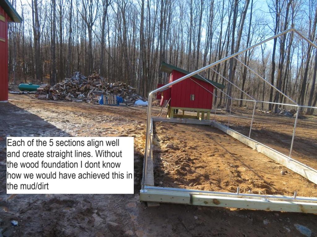 Predator Proof Chicken Run – Bitchin' Chickens