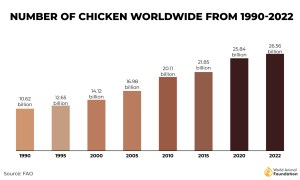 How Many Chickens Are In The World? – Bitchin' Chickens