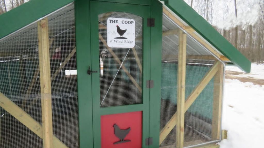 Predator Proof Chicken Run – Bitchin' Chickens