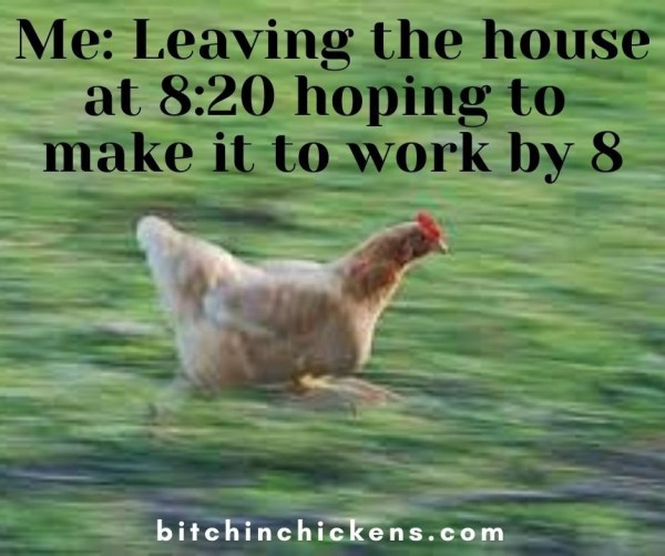 Bitchin’ Chicken Memes: 48 – Bitchin' Chickens