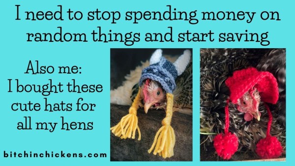 Bitchin’ Chicken Memes: 48 – Bitchin' Chickens