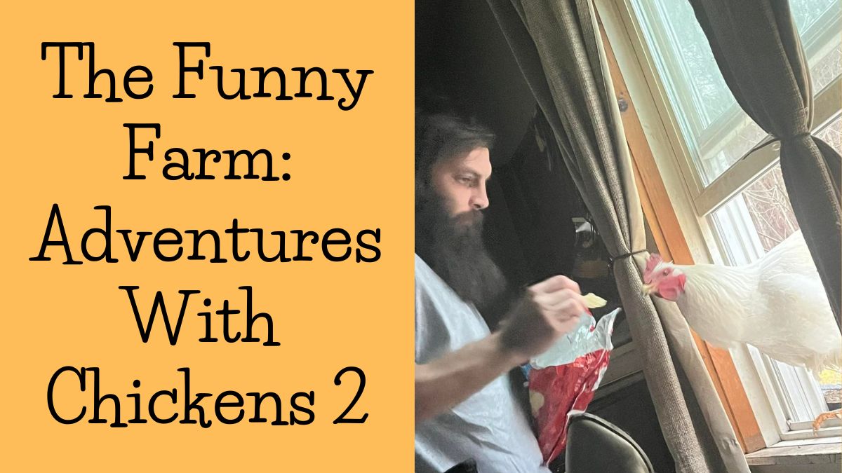 The Funny Farm: Adventures With Chickens 2 – Bitchin' Chickens