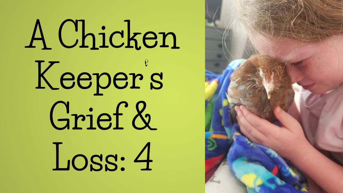 A Chicken Keeper’s Grief & Loss: 4 – Bitchin' Chickens