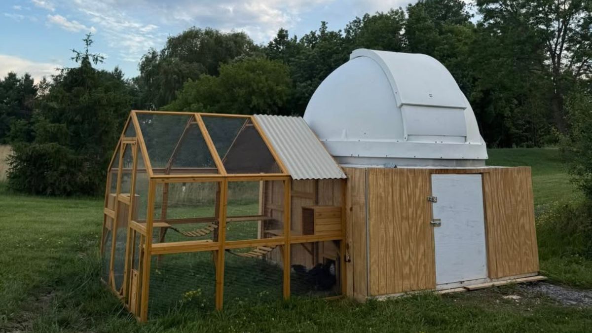 Observatory Chicken Coop – Bitchin' Chickens