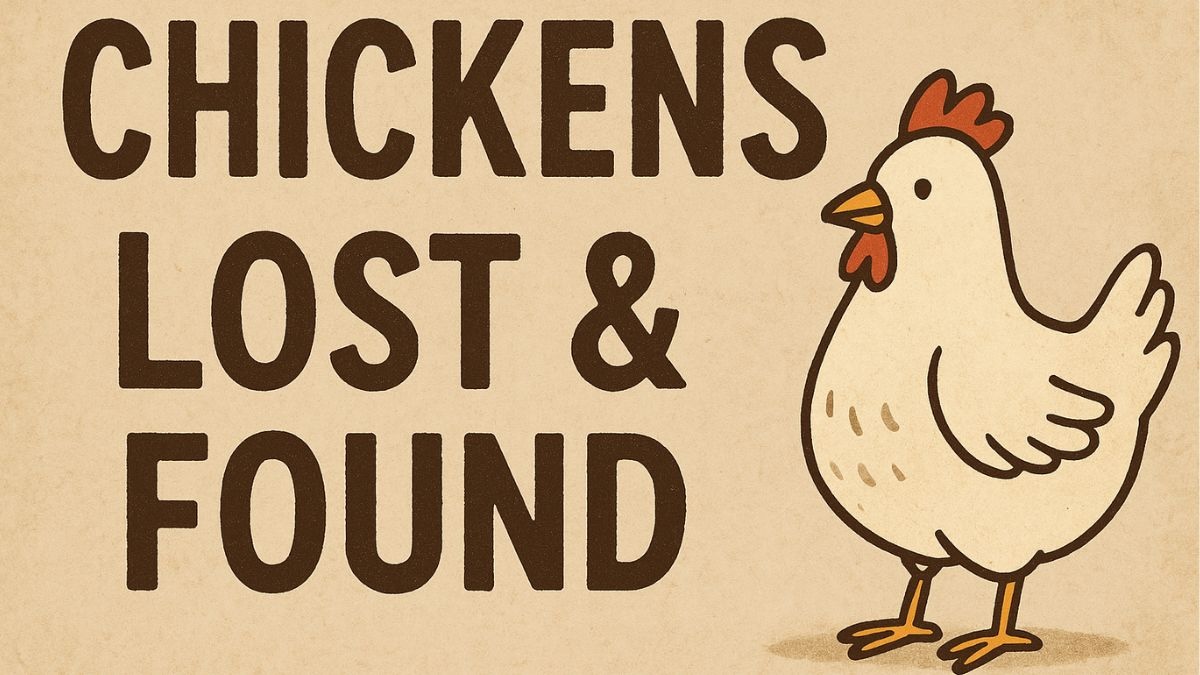 The Funny Farm: Chickens Lost & Found 2 – Bitchin' Chickens
