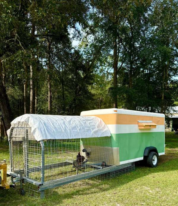 Trailer Conversion Chicken Coop 3 – Bitchin' Chickens
