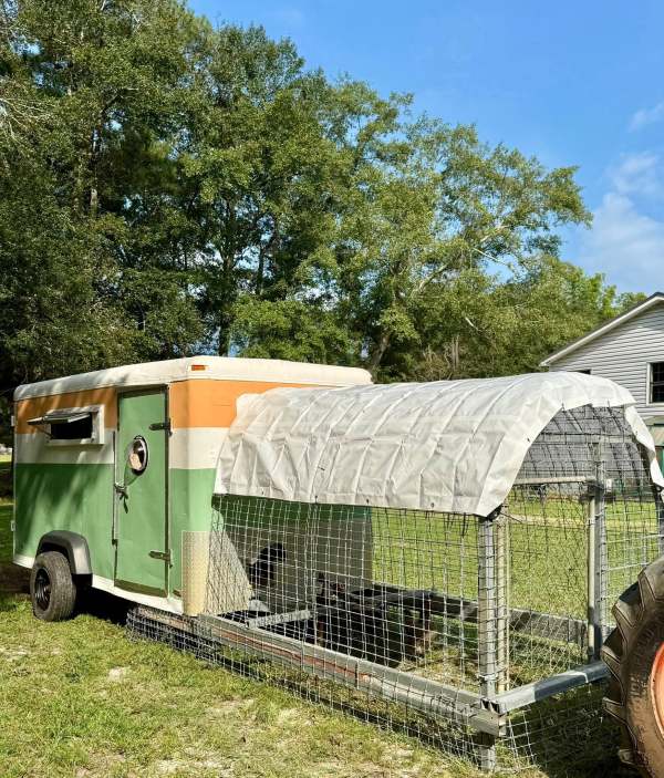 Trailer Conversion Chicken Coop 3 – Bitchin' Chickens