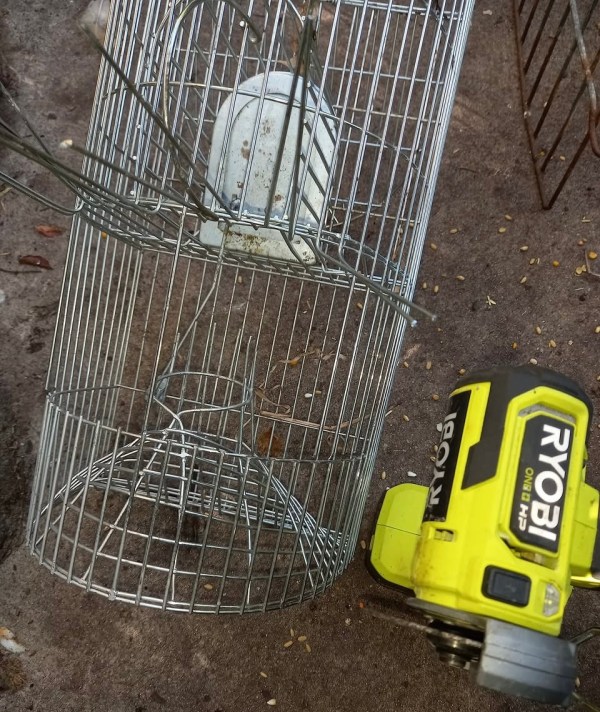 Beware: Hazards That Await Your Chickens 5 – Bitchin' Chickens
