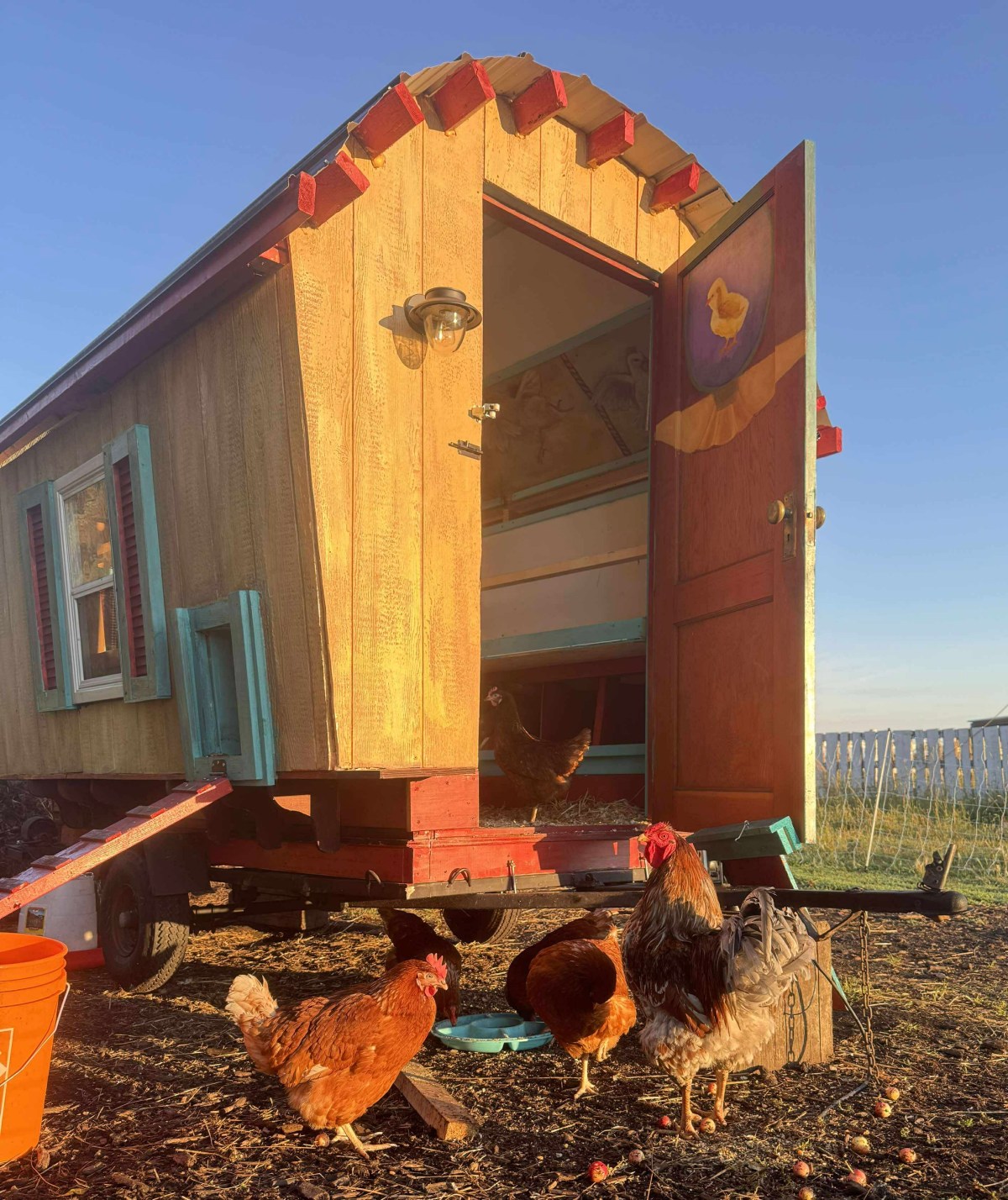 Caravan Chicken Coop Build – Bitchin' Chickens