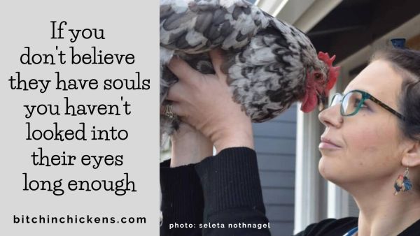 Bitchin’ Chickens Memes: 61 – Bitchin' Chickens